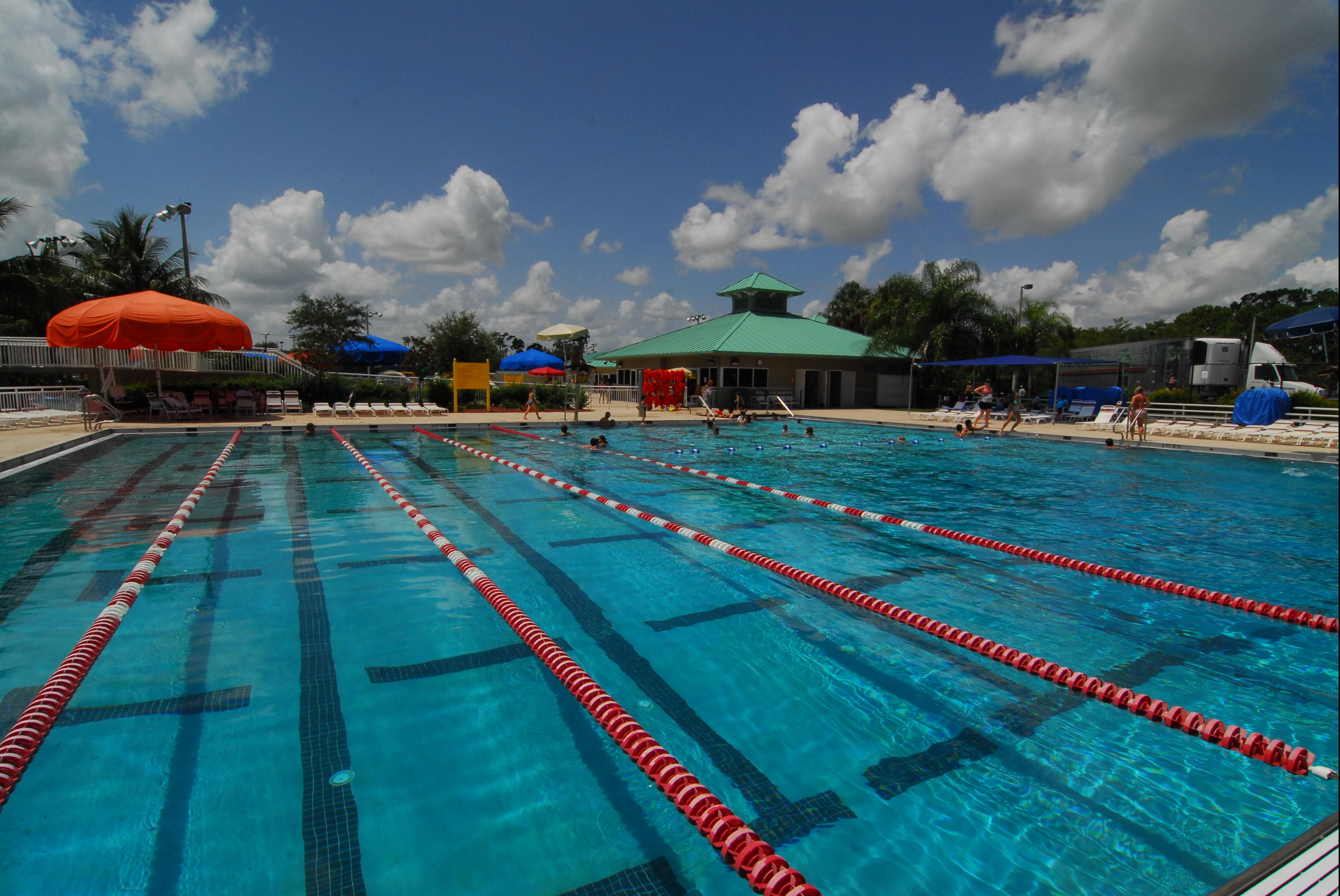 Calypso Bay | Lap Pool & Diving Boards
